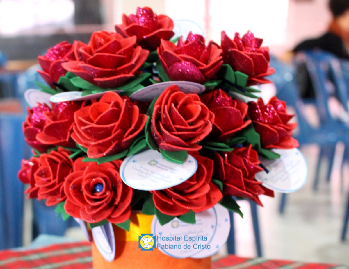 Assistida Laura Cristina - HEFC